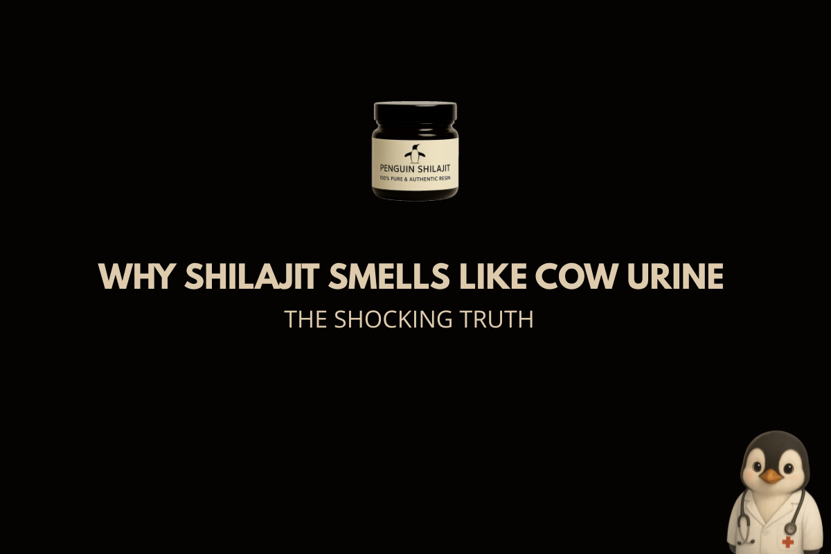 Why Shilajit Smells Like Cow Urine: The Shocking Truth – Penguin Shilajit